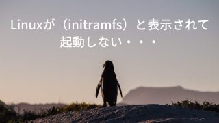 Linuxで（initramfs）と表示されて起動しない時はexitとfsckで解決！ | たのいけブログ